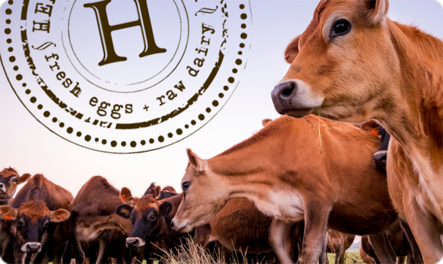 Collections – Heritage Hen Farm